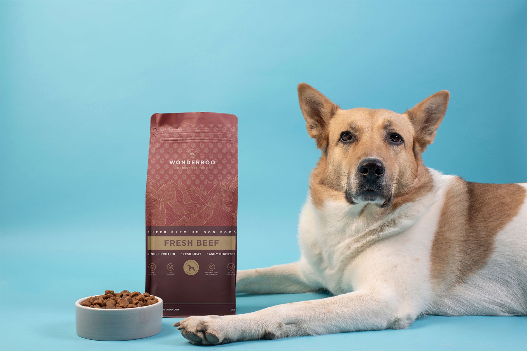 Wonderboo - Honest dog food – wonderboosweden